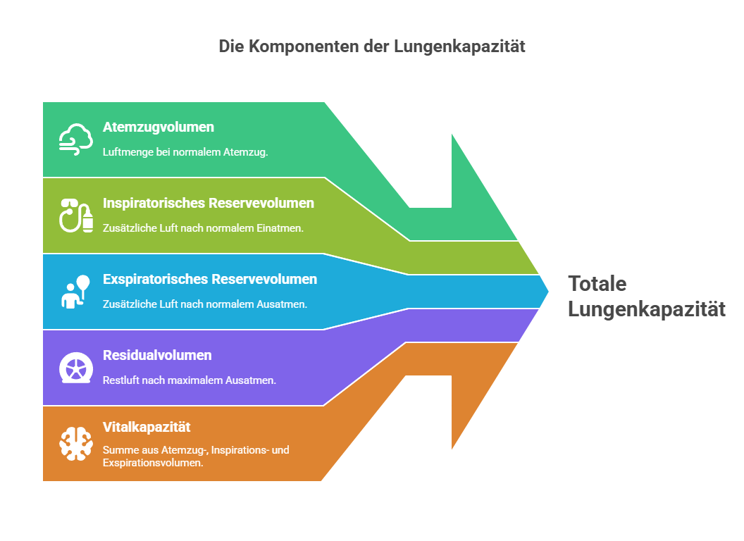 Lungenvolumen nach Alter: Tabelle